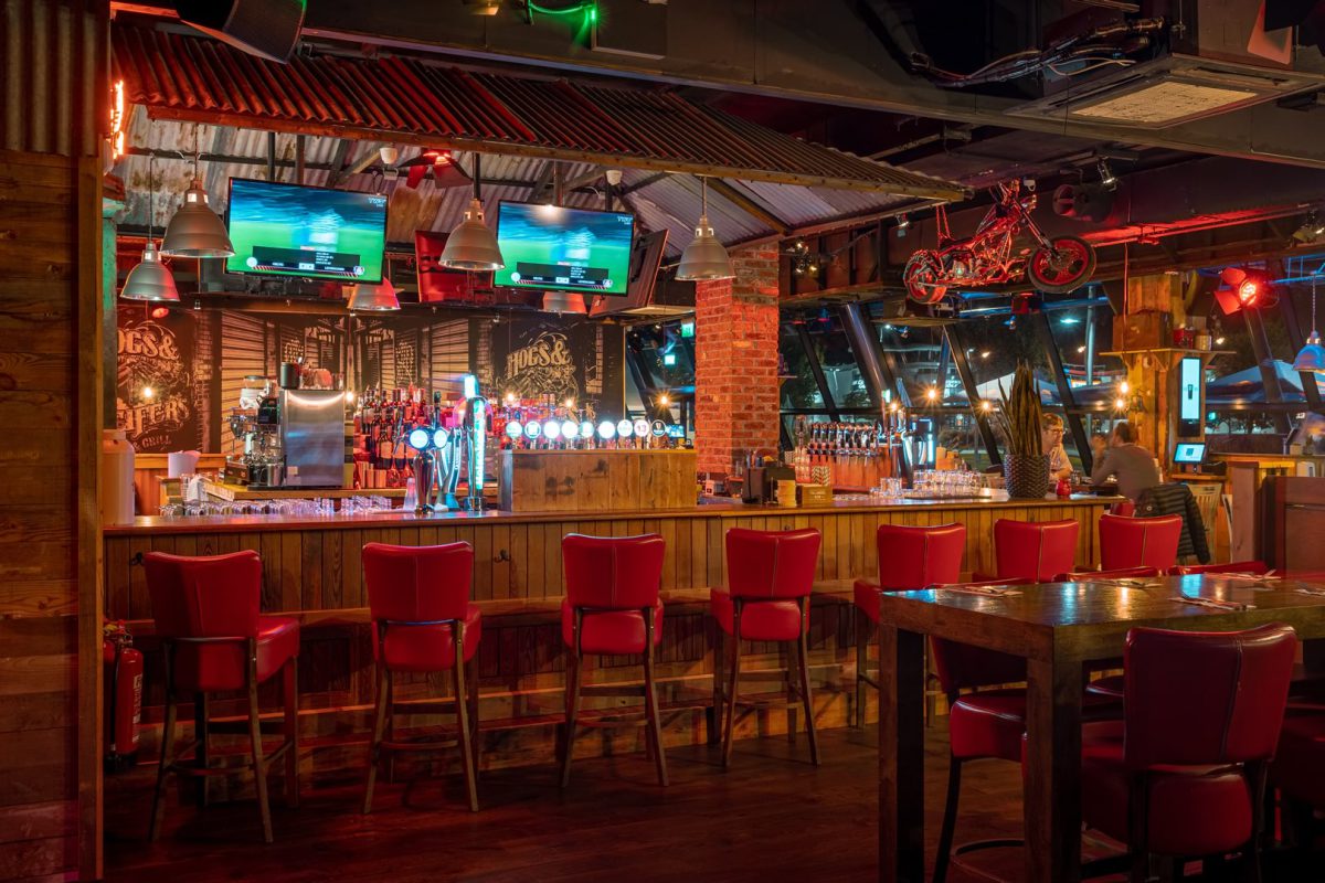 Gallery – Hogs & Heifers