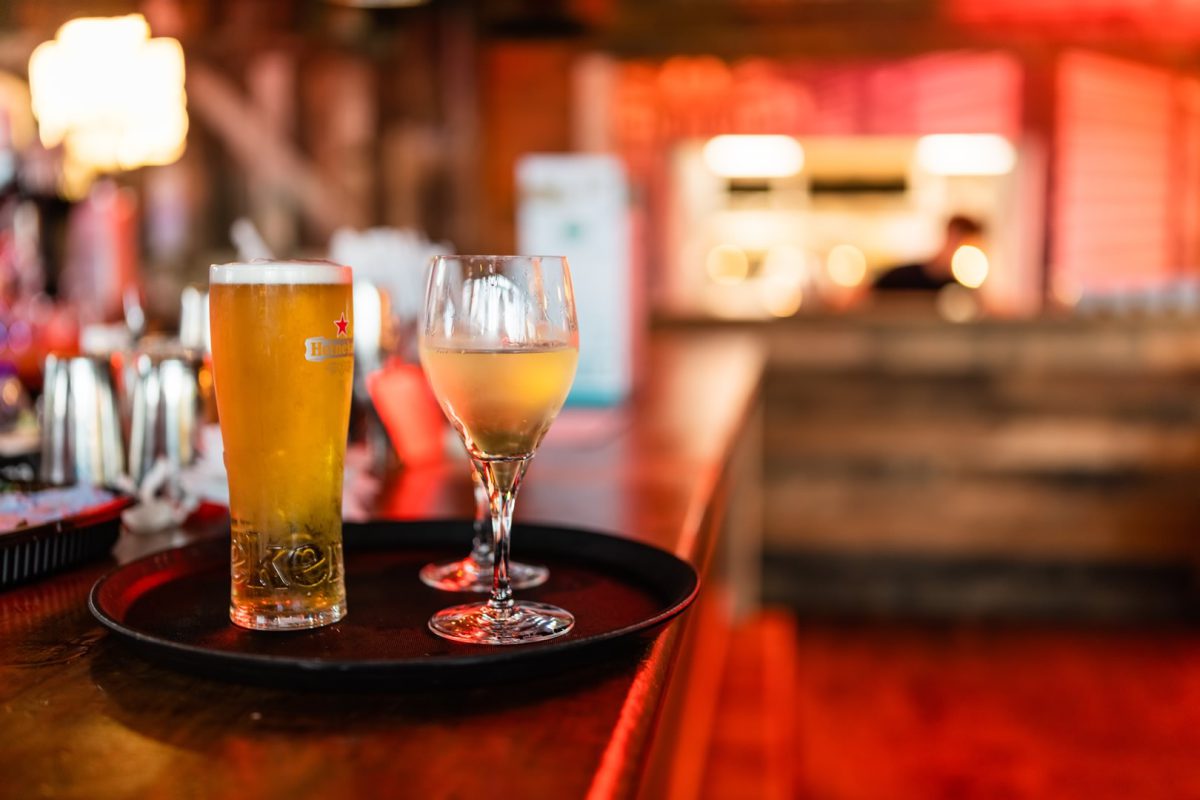 Gallery – Hogs & Heifers