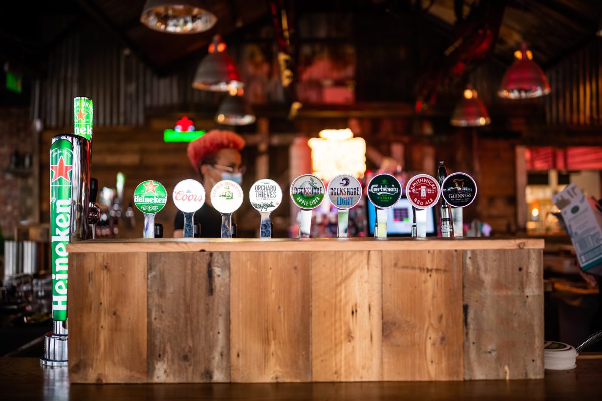 Gallery – Hogs & Heifers