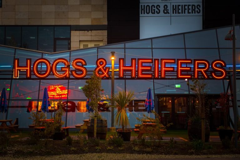 Gallery – Hogs & Heifers