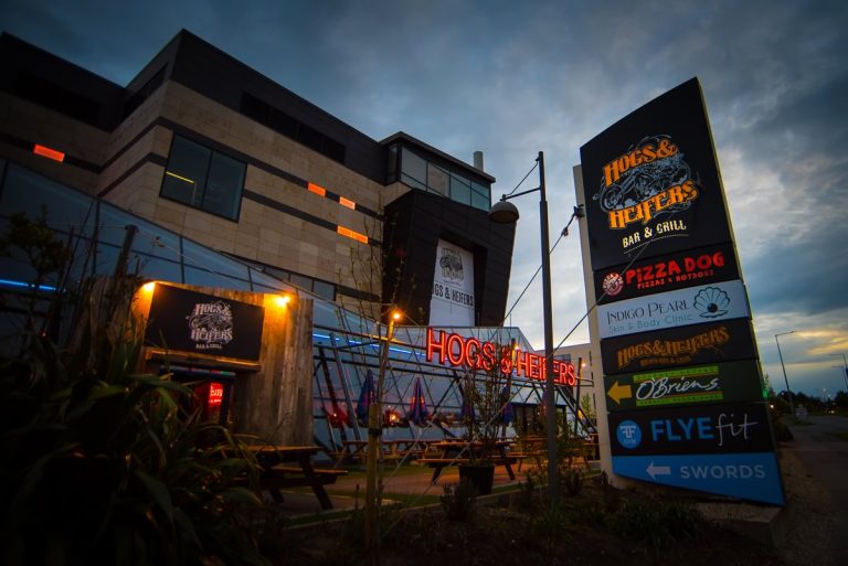 Gallery – Hogs & Heifers